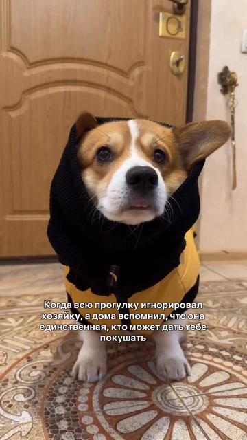 Ты что обиделась?