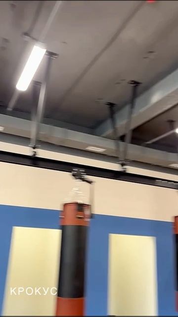 Ринг, мешки, перекатка отзыв