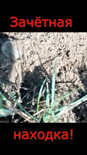 Зачётная находка! Поиск с металлоискателем!