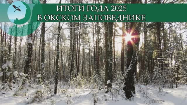 Итоги 2025 года в Окском заповеднике