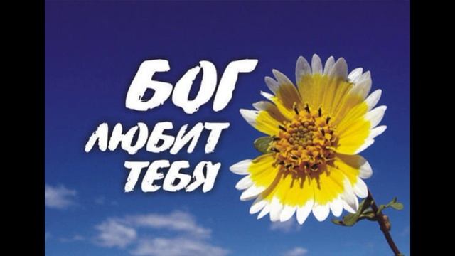 Я так тебя люблю!