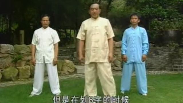 08 Погружением ладоней умиротворить Инь и Ян Ли Чжэн