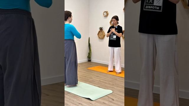 Восстанавливаемся после праздников! Простые упражнения цигун для здоровья