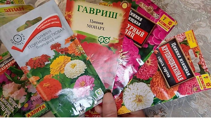 Какими семенами овощей и цветов нужно  запасаться  уже сейчас