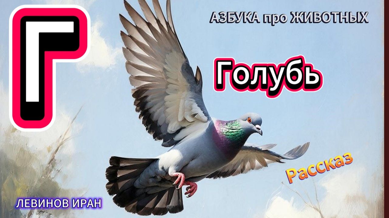 Алфавит Азбука Просто: Мир животных и птиц в алфавитном порядке. Г. Голубь. Автор поэт Левинов Иран.