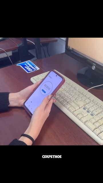 студенческий гид