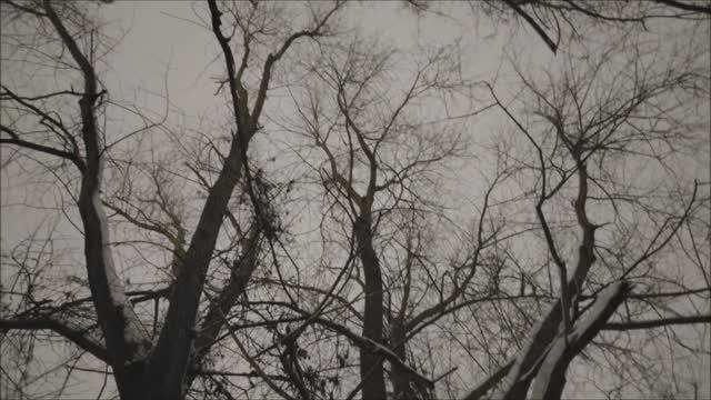 День засыпает.