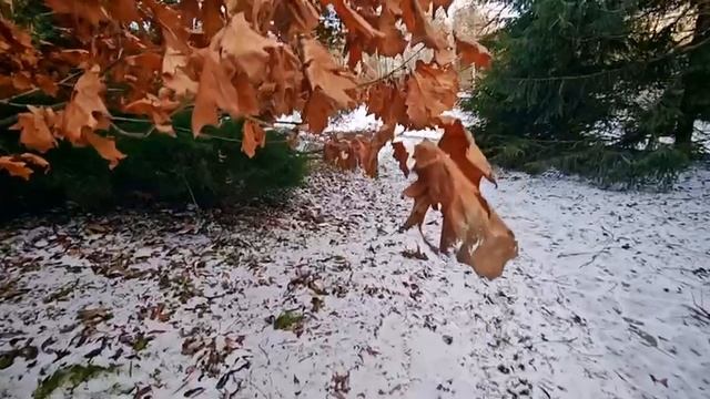 Зима в ЛАИРе