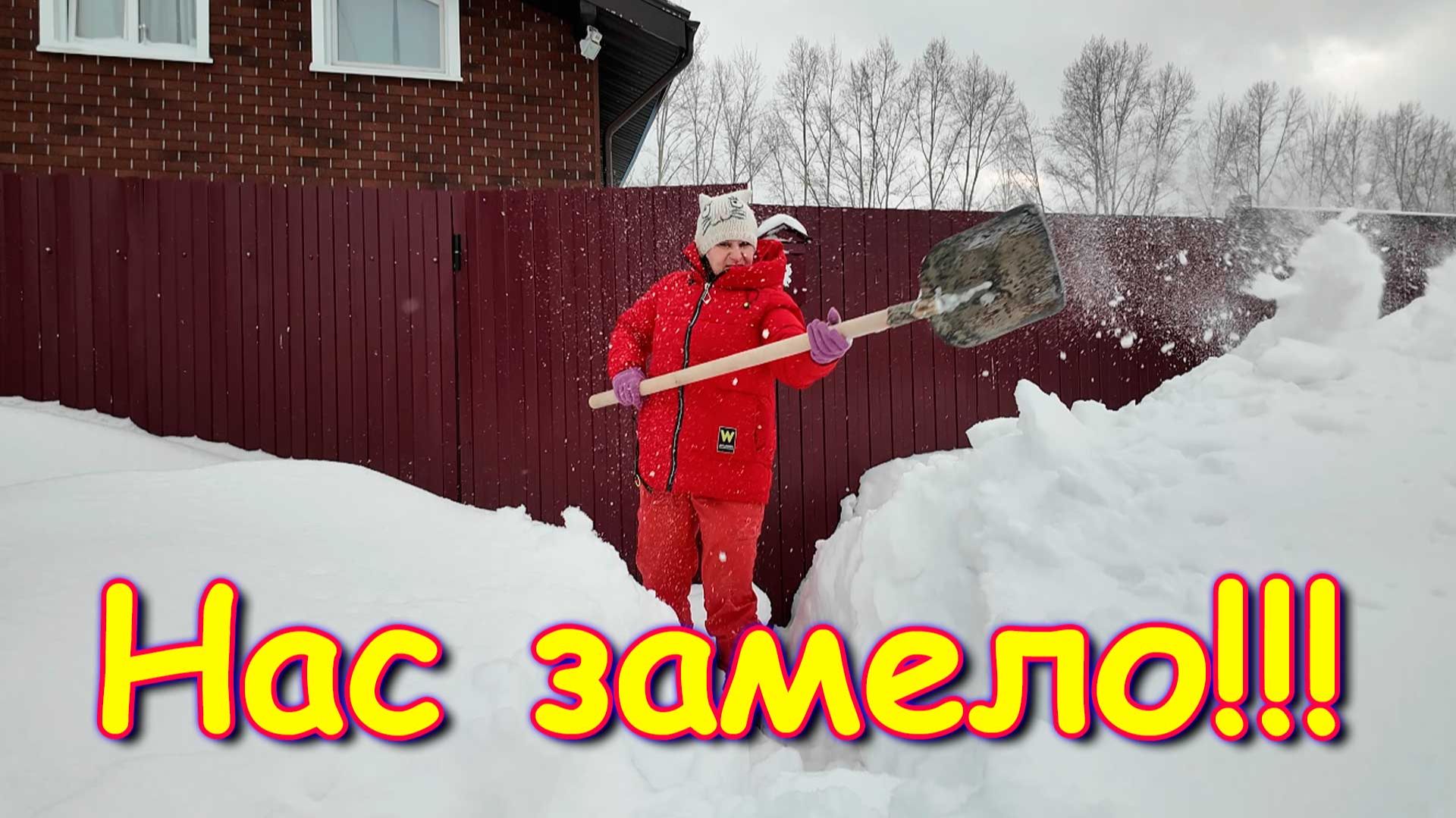 Подготовка к Рождеству. Отдали Фисташку. Море снега. Плачу. (01.26г.) Семья Бровченко.