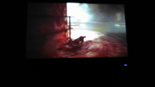 Канализация и яички зурков,прохождение STRAY #6