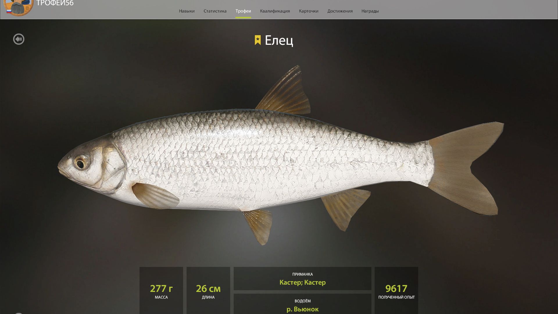 ЕЛЕЦ И УКЛЕЙКА ТРОФЕЙНЫЕ!!!РЕКА ВЬЮНОК - РУССКАЯ РЫБАЛКА 4