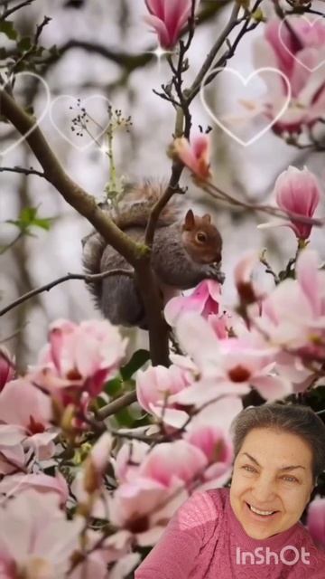 Благословений!