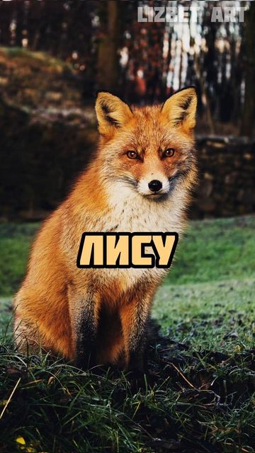 Рисую несуществующее животное🐔+🦊=❓(ч.119) #tiktok #shorts #art #gouach