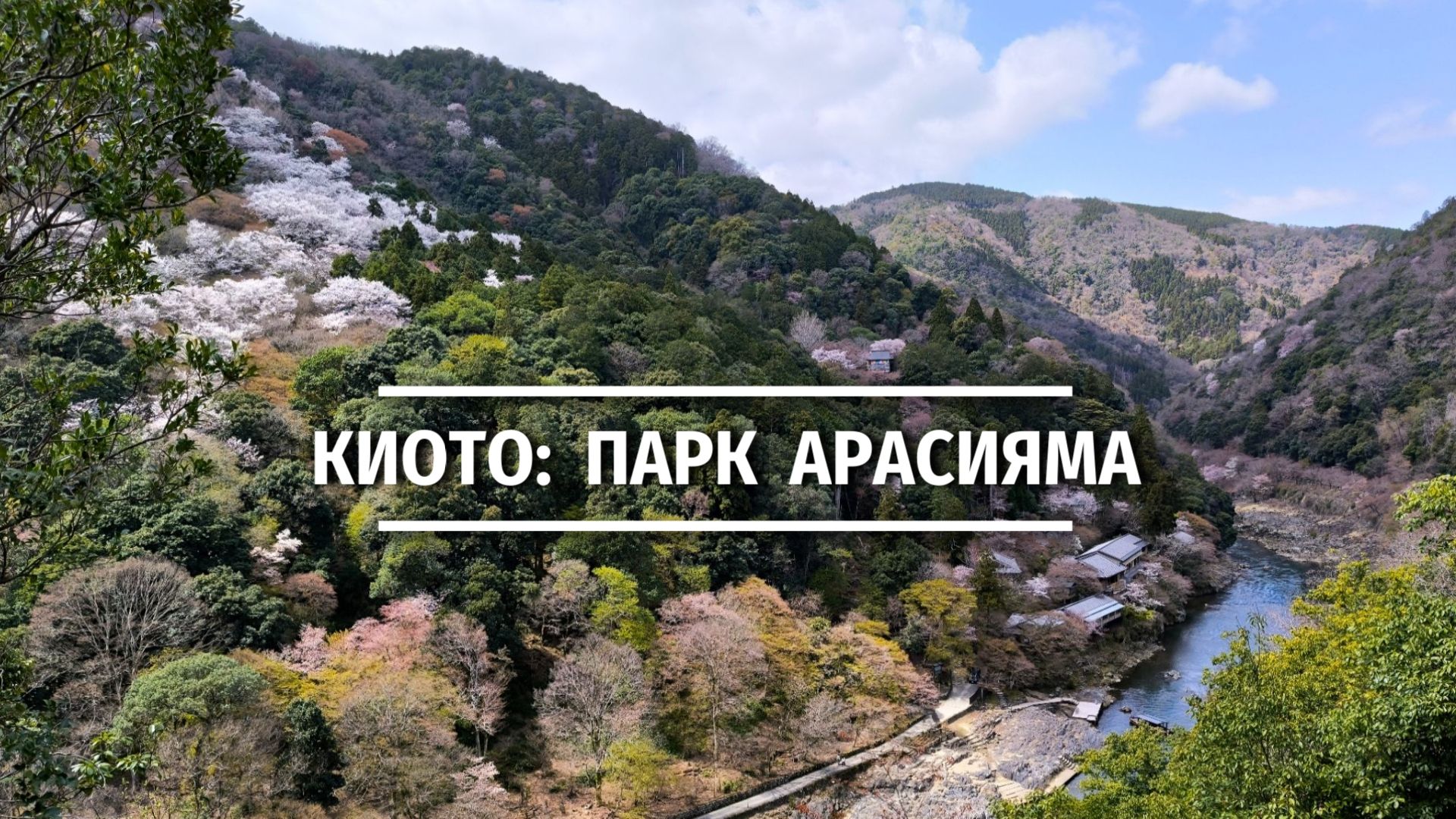 Киото с высоты: панорама Арасиямы и река Кацура