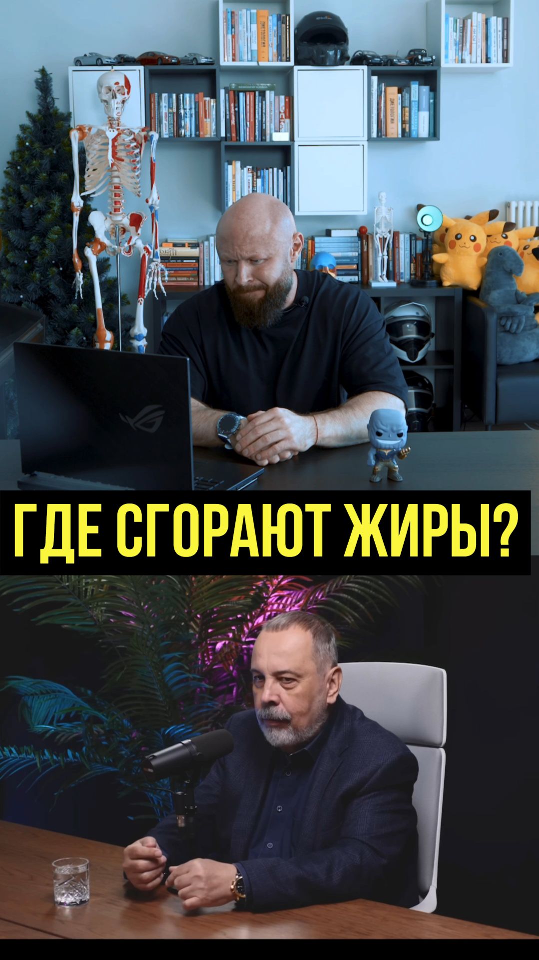 Где Сгорает ЖИР, когда вы ХУДЕЕТЕ? 🫁 #фитнес #здоровье #факты