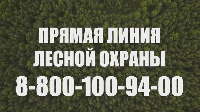 Берегите лесные ресурсы России (30 сек)