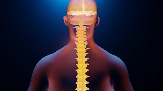 Сайт Гаряев-Матрицы.РФ АРХИВ CD 13/01 Обновление: Со СНГ ВАС!  от Всех Аллергий