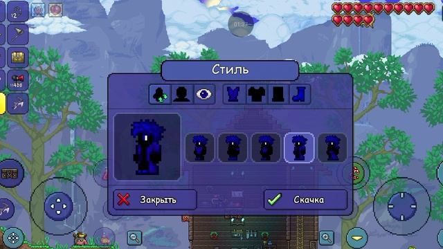 Поселяю кота и собаку в террарии