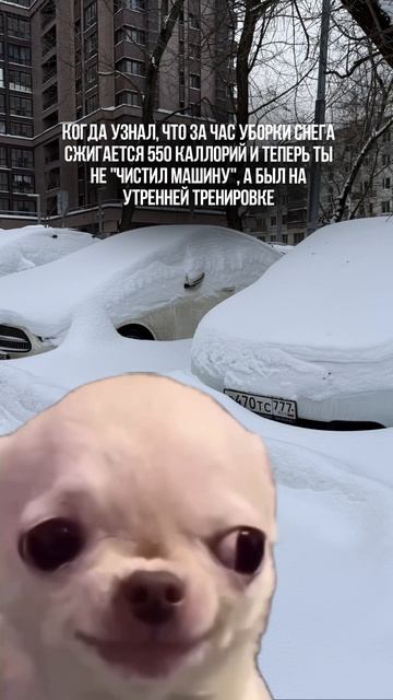 ЗИМНИЙ СПОРТ
