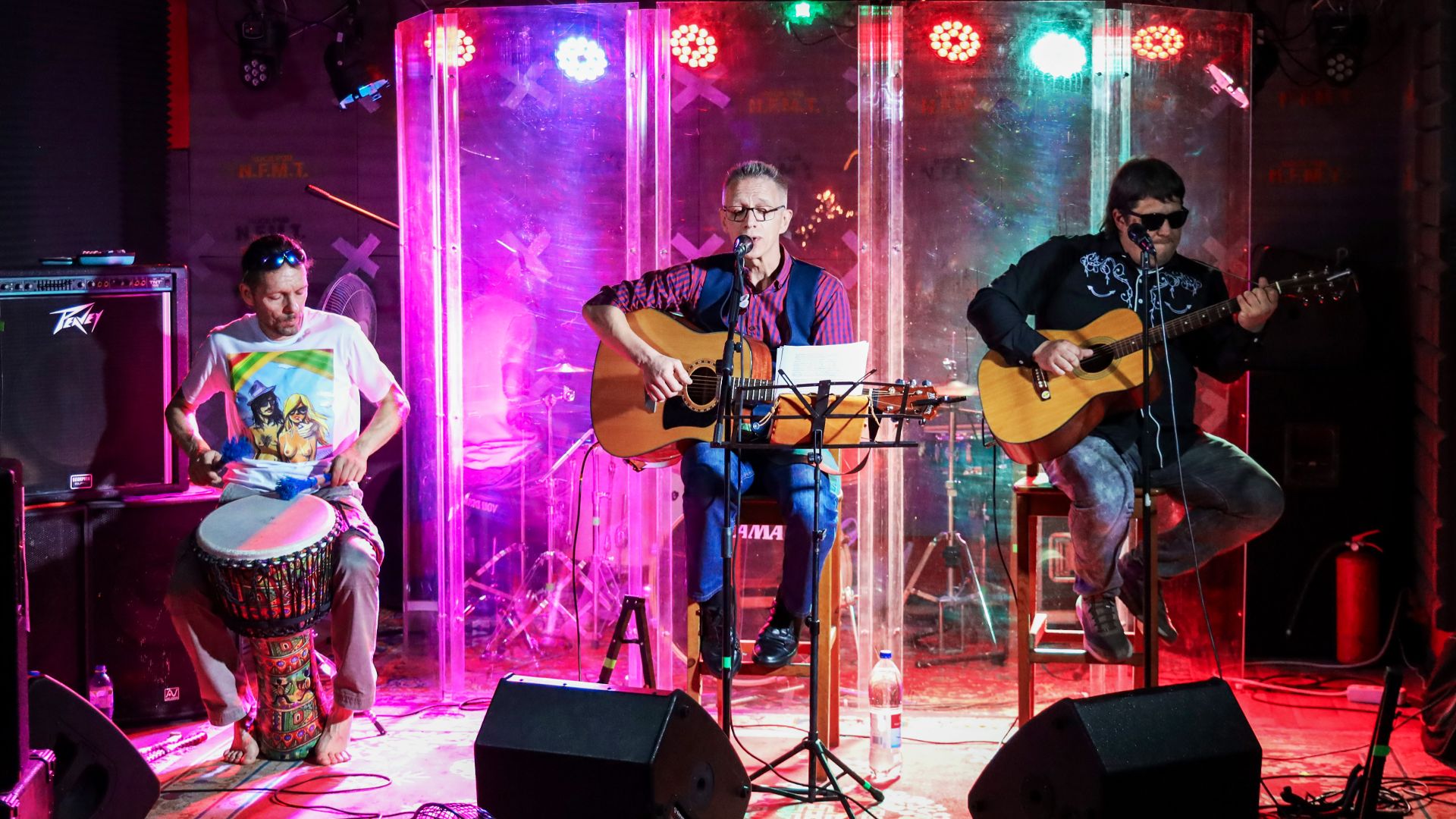 Триба и друзья - Гарри Поттер мёртв (акустика)