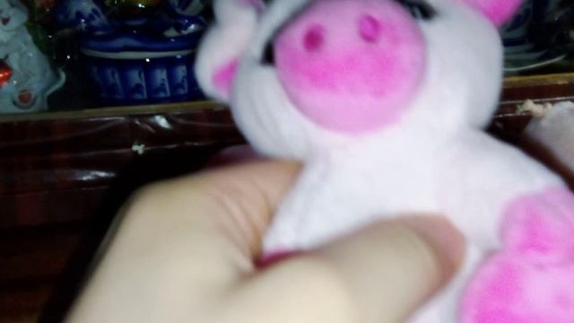 Миленькие поросята в моей коллекции. Очень интересный видос.