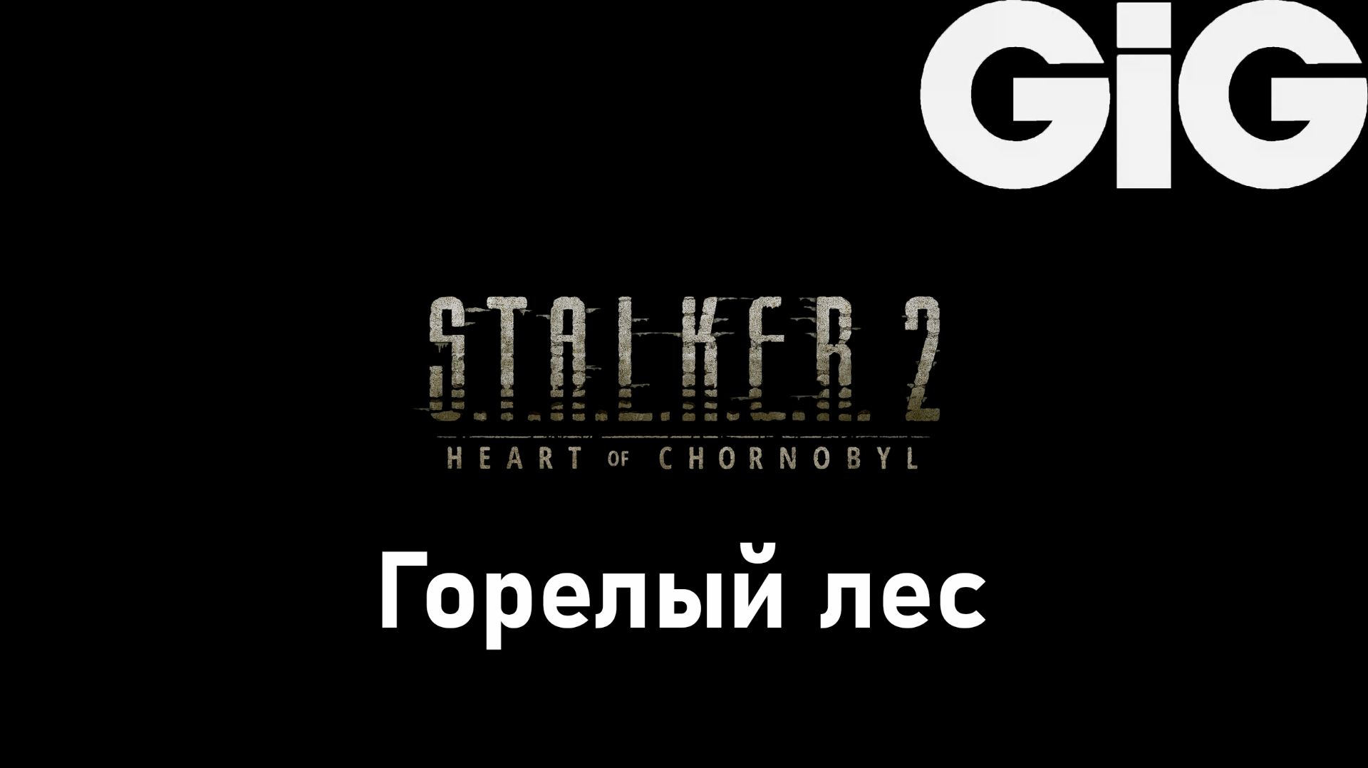 S.T.A.L.K.E.R. 2 Heart of Chernobyl - Тайник Журналиста в Горелом лесу