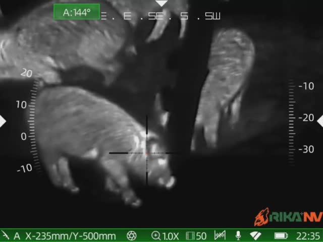 Успешный выстрел