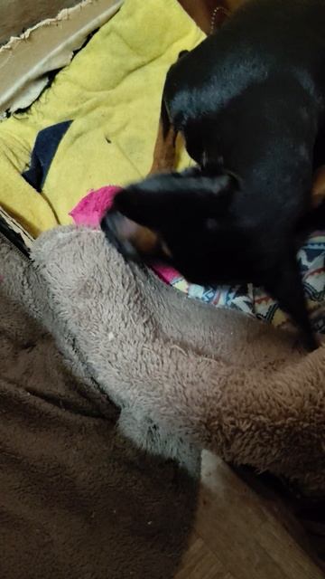 Первый мальчик 09.12.2025.