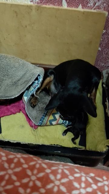 Вторая, часть вторая 09.12.25.