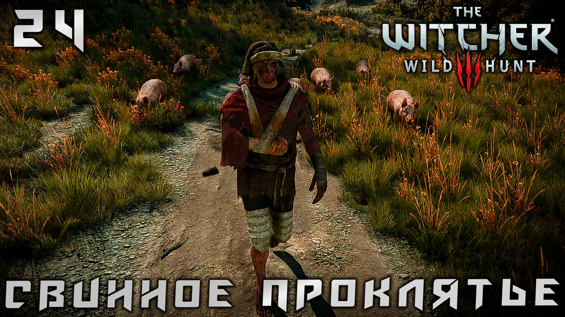 Ведьмак 3 Дикая Охота - Свинное проклятье #24 (The Witcher 3 Wild Hunt)