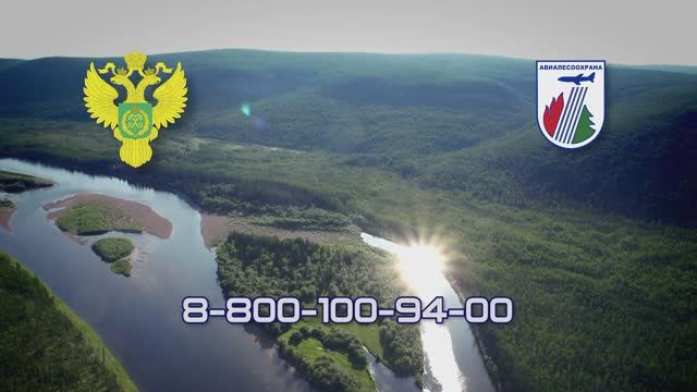 Берегите лесные ресурсы России