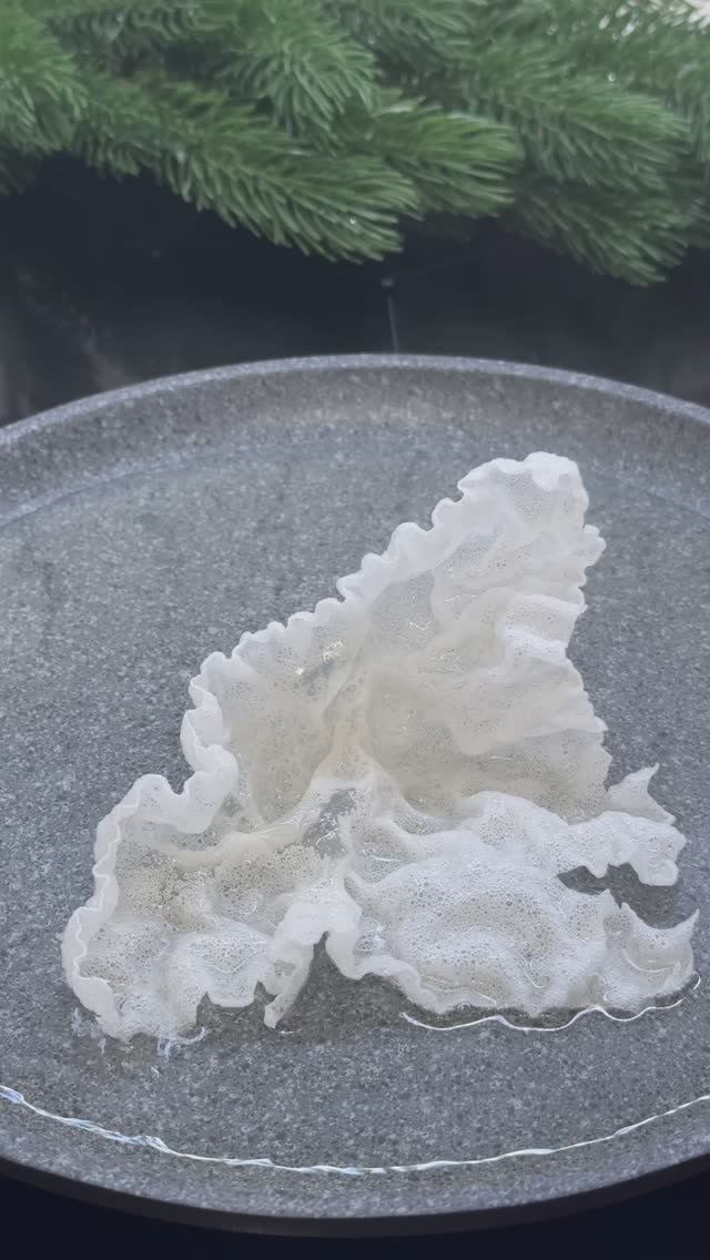 Съедобные ТАРЕЛКИ из рисовой бумаги за 10 секунд! Удивите любого гостя - смотри видео до конца!