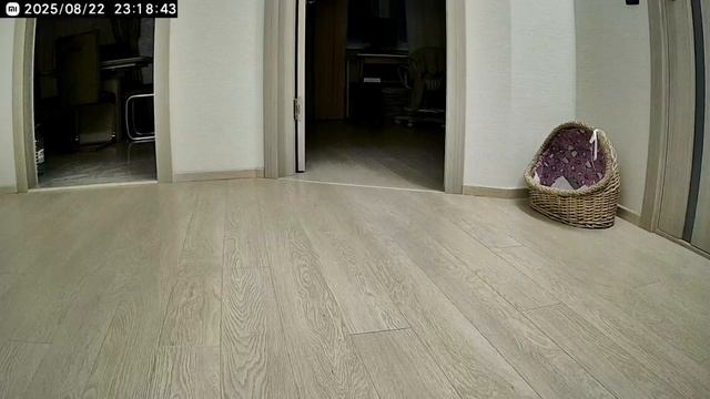 Одна дома. пошла спать.