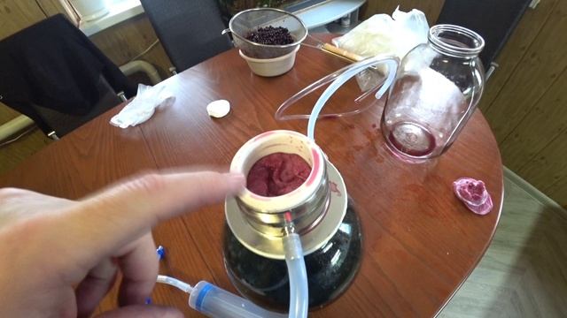 Фильтрация и приготовление настойки из черноплодной рябины