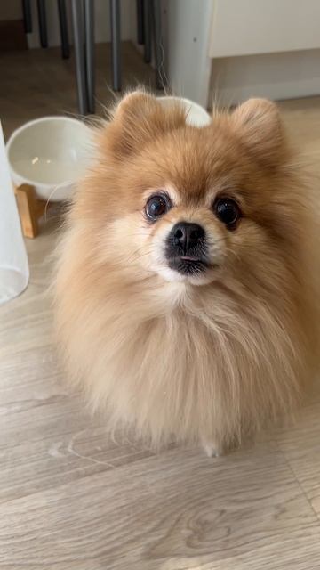 А у вас какое хобби?