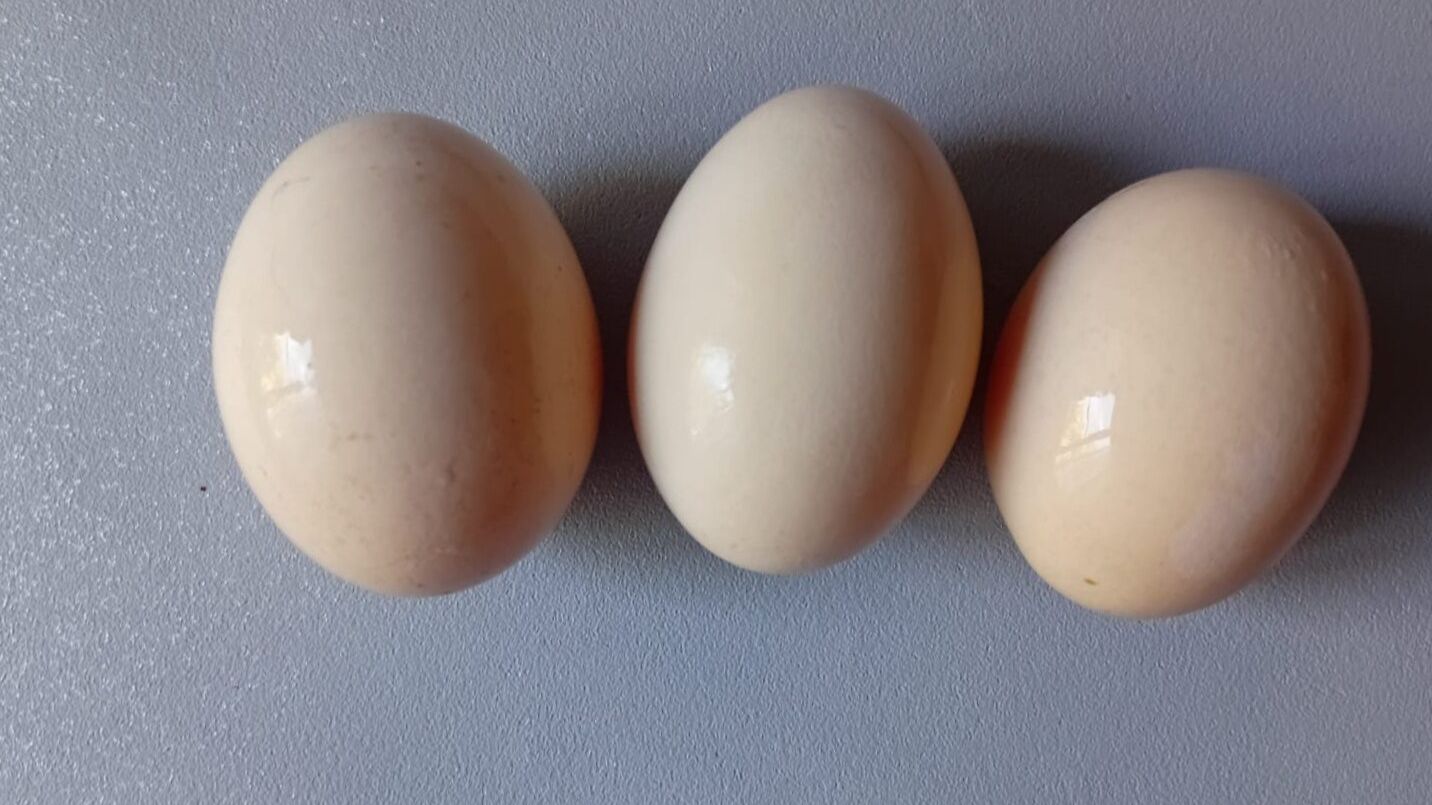 Простые трюки с яйцами, которые стоит попробовать