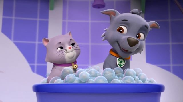 Щенячий патруль 1 сезон 1 серия