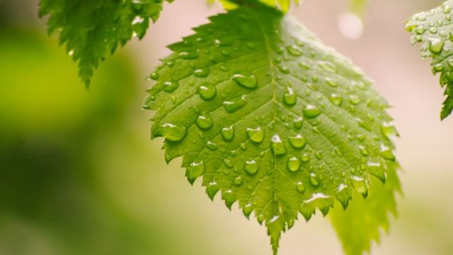 8  2026_01_11_Обсуждение_Уроки_Вечного_Евангелия_Тема_2_Ч_2_Покаяние