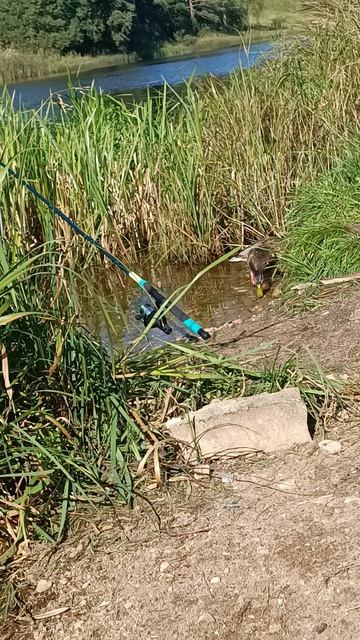 Гости на рыбалке