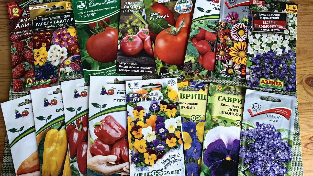 Что буду сеять в январе 2026