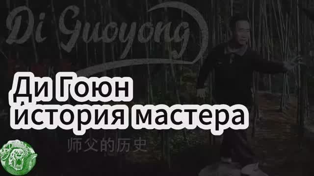 01. Ди Гоюн - История мастера