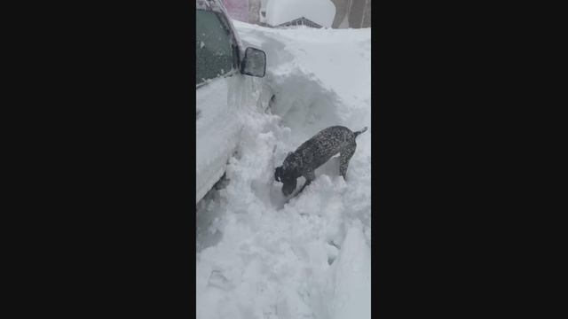 Снежная Атлантида. Камчатка утопает в сугробах выше человеческого роста