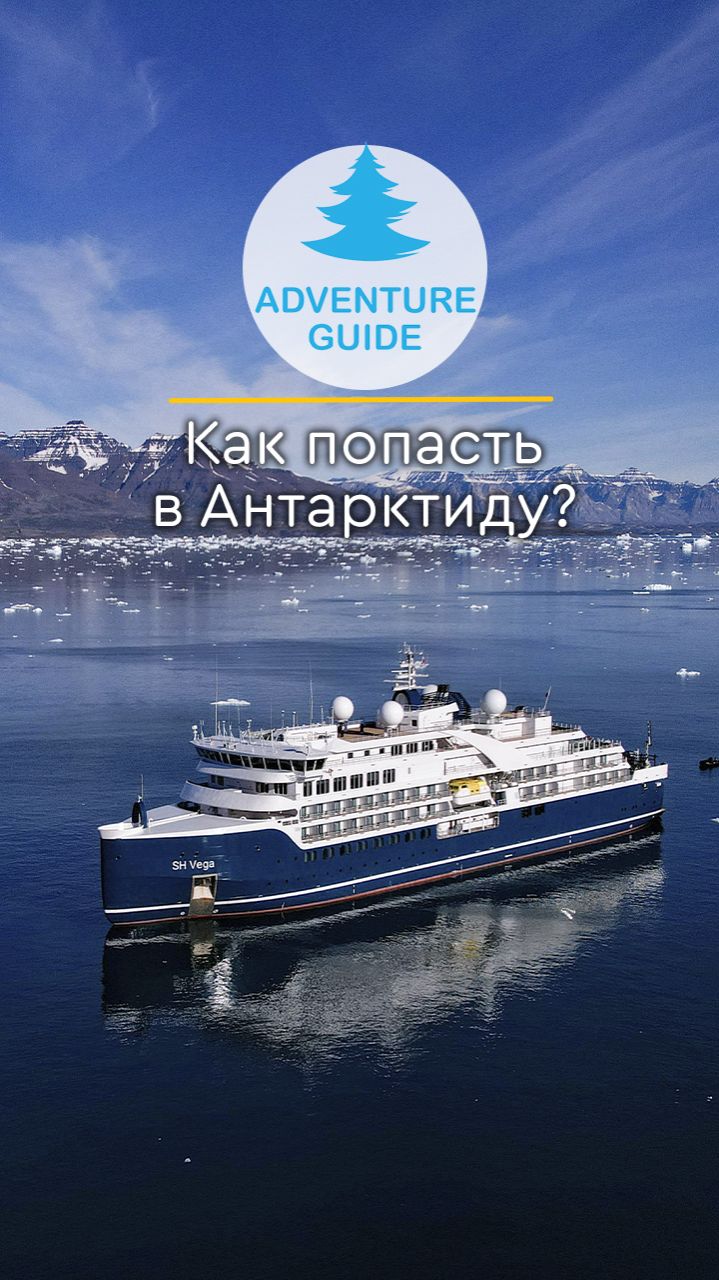 Как попасть в Антарктиду? #антарктида #киты #пингвины