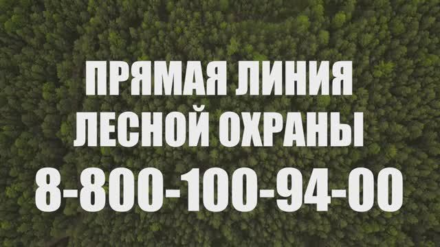 Берегите лесные ресурсы России (15 сек)