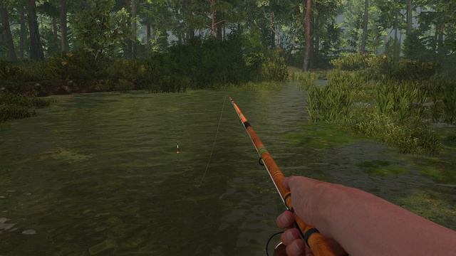 Лето природа и рыбалка что может быть лучше?