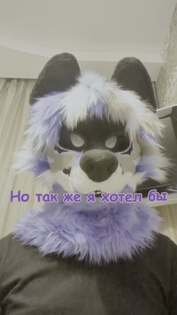 🐾ФУРРИ В 💻IT | 🐕: kirbyfurry #furry #fursona #shark #fursuit #dog #review #it