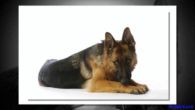 Stive Morgan - Time X