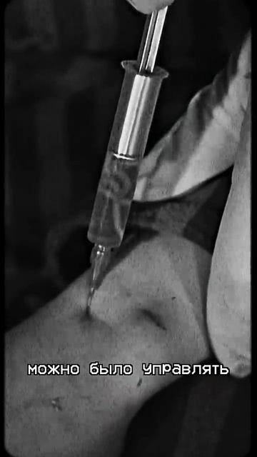 5.Сталионы - мастерская смерти