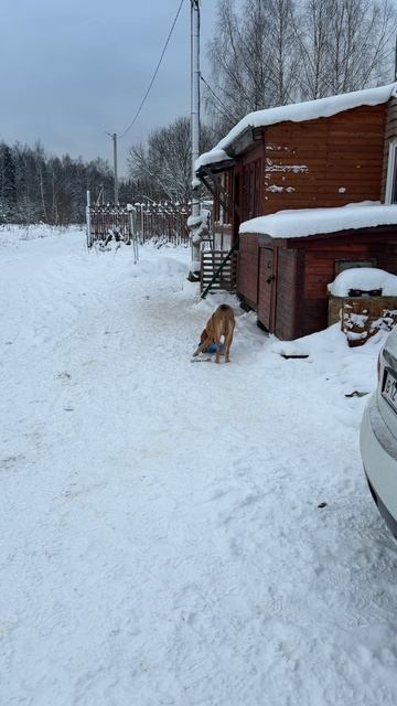 Накорми голодного. anzl.ru