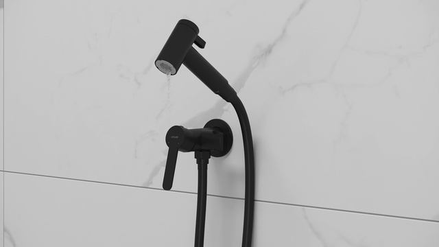 Смеситель с гигиеническим душем OLIVA черный, Арт. 68990